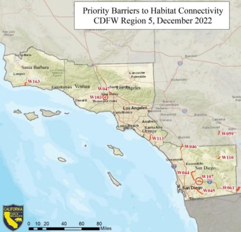 Environmental Center of San Diego | A community working together to ...